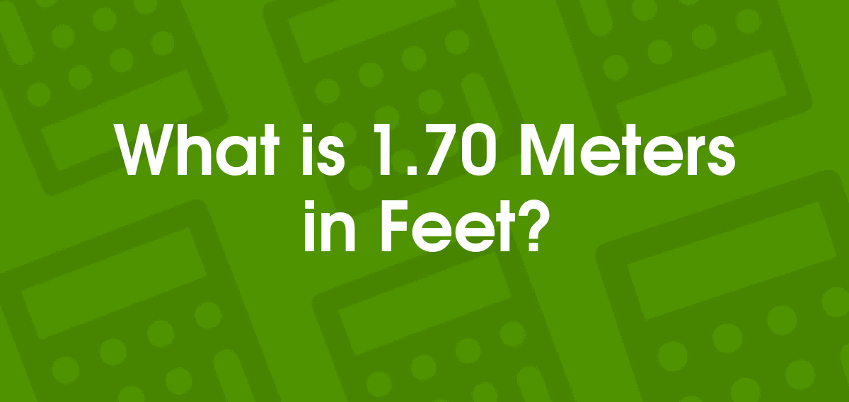 Witzig Gentleman Begleiten 1 Meter Wieviel Feet Homosexuell Planen Die