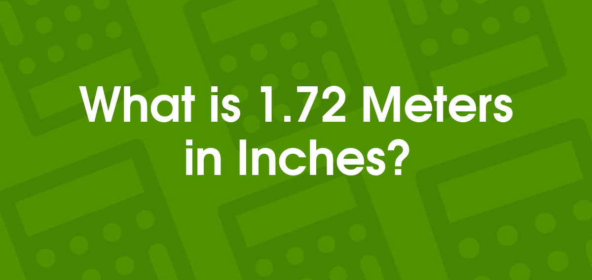 1.72 Meters to Inches | 1.72 m to in