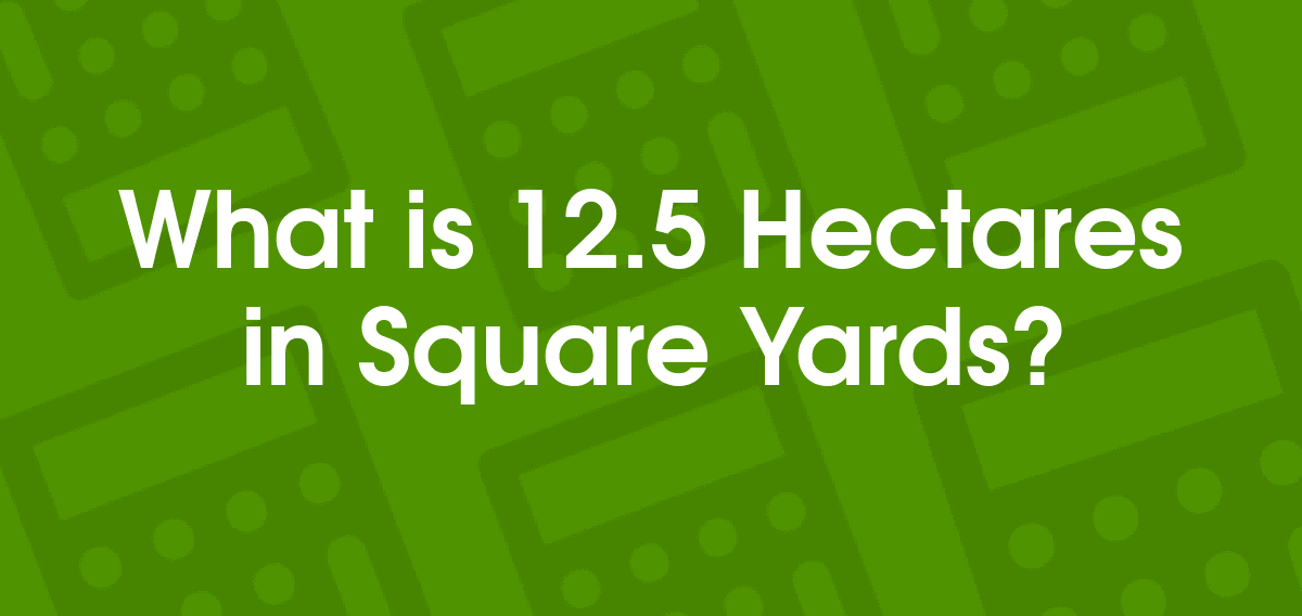 12.5 Hectares to Square Yards | 12.5 ha to yd2