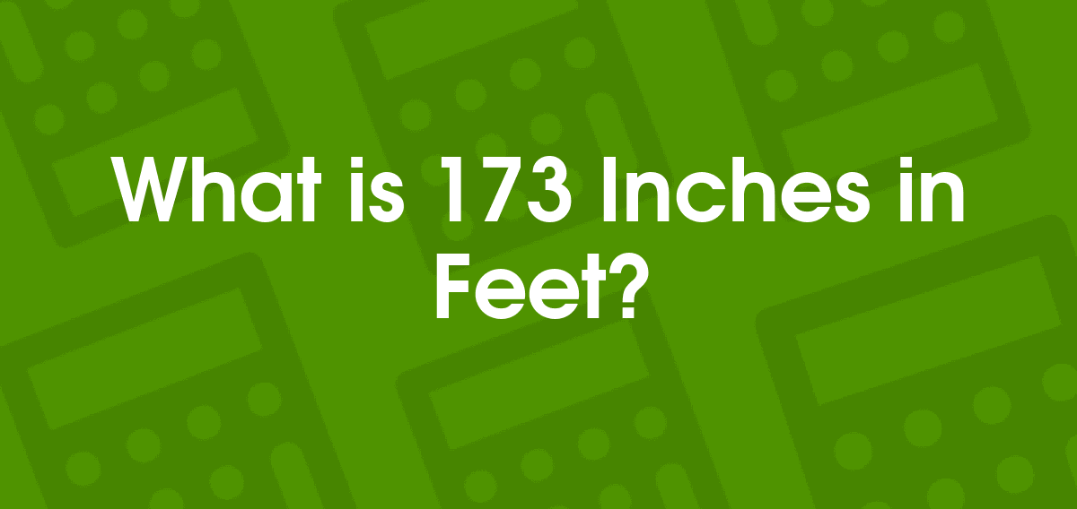 173 Inches to Feet | 173 in to ft