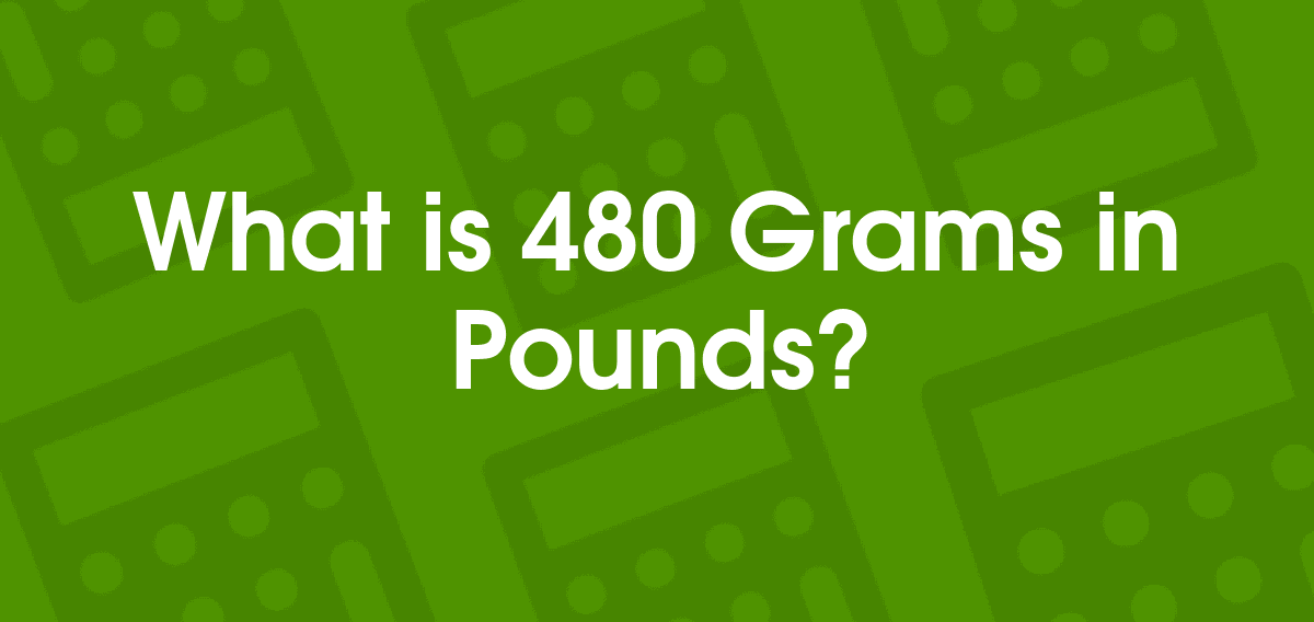 480 Grams to Pounds | 480 g to lb