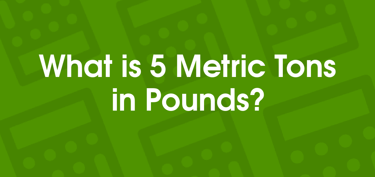 5 Metric Tons to Pounds | 5 t to lb