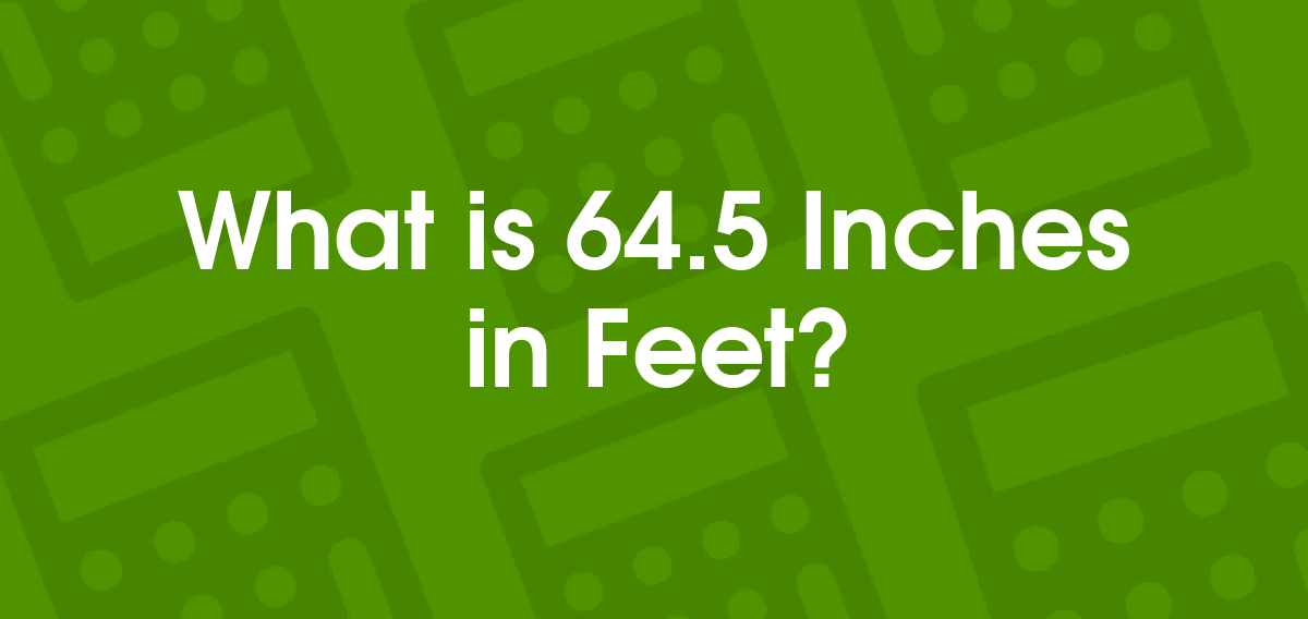 64.5 Inches to Feet | 64.5 in to ft